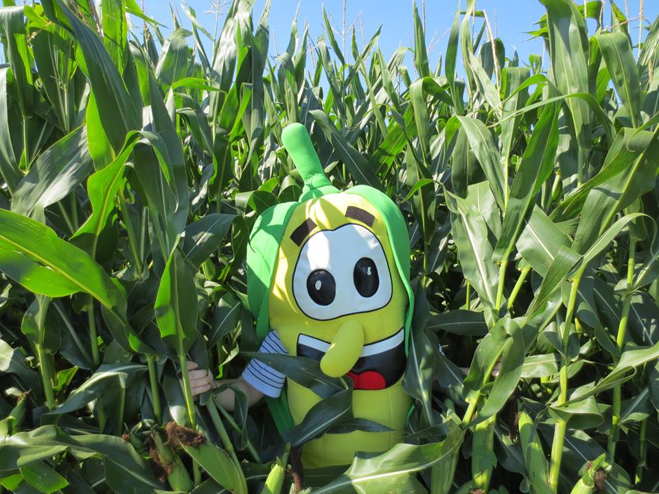 Corny | Make It Champaign-Urbana